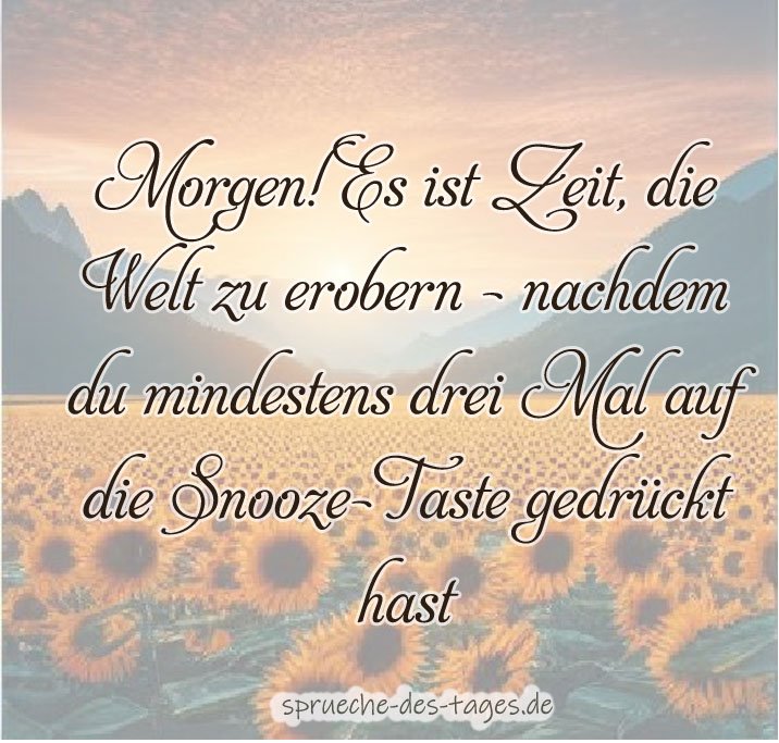 Guten Morgen Bilder kostenlos für Whatsapp